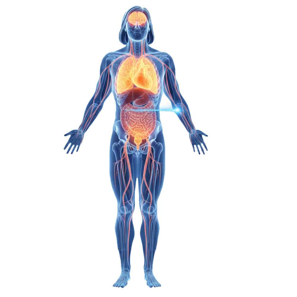 Signature Female Package - Whole Body Mri